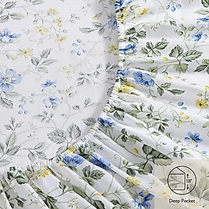Laura Ashley Home - King Sheets, Soft Sateen Cotton Bedding Set - Sleek, Smooth, & Breathable Home Decor, Meadow Floral Blue