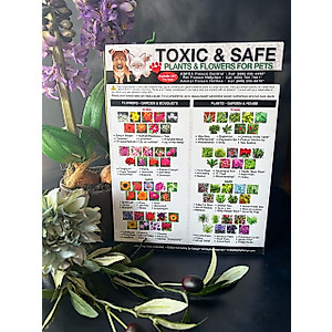 TLC Safety By Design Premium Toxic and Safe Plants & Flowers Poison for Pets Dogs Cats Emergency Large Format Veterinarian Approved Refrigerator Safety Magnet 8.5” x 11”