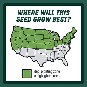 Pennington Smart Seed Sun and Shade Grass Mix 3 lb