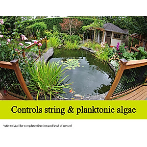 Green X – 1lb - String Algae Remover for Koi Ponds, Fountains, Waterfalls, Water Features- Safe for Fish Contact Algae Control- Treats up to 16,000 Gallons - Concentrated Granular Algaecide