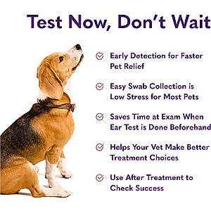 MySimplePetLab Dogs Ear Infection Test Kit | Fast and Accurate Detection of Yeast and Other Ear Irritations| Reliable Mail-in Dog Ear Care Test for Smelly, Itchy, or Sore Ears