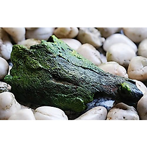 1shopforyou Random Selection Reptile Amphibian Habitat Decorative Garden Stakes 5X10 CM