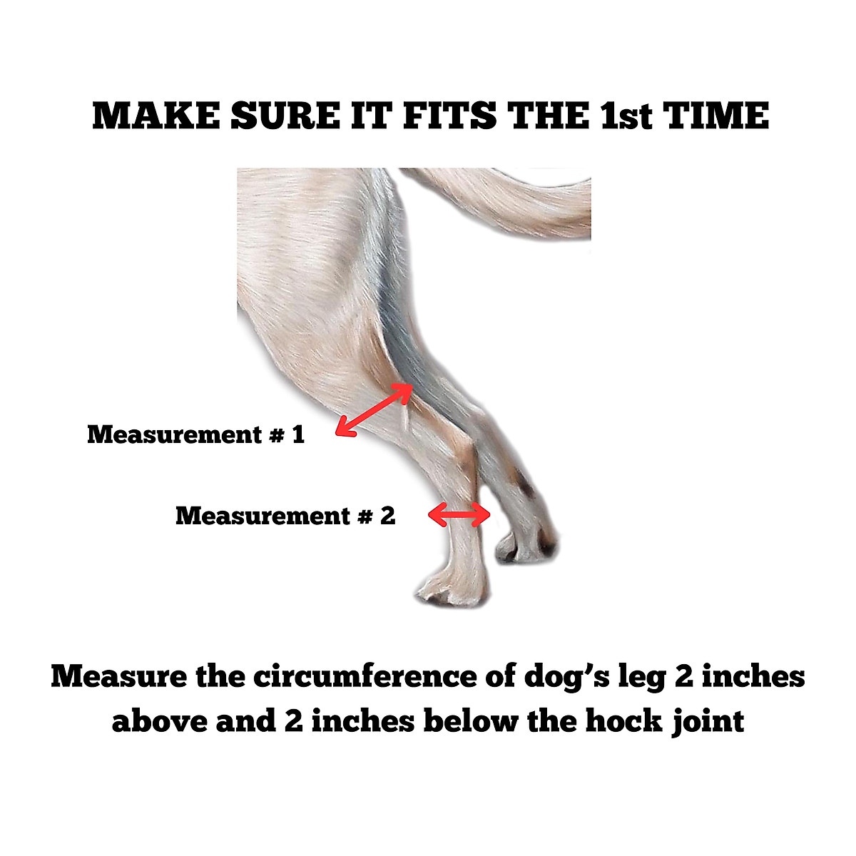 Premium Canine Hock Joint Dog Leg Brace. Rear leg braces for dogs help in Recovery, Injury Protection, Compression Wrap, Loss of Stability Caused by Arthritis. Effective post surgery for dogs rear leg