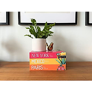 InspireMe Decorative Books for Home Decor, Faux Book Storage Box, Travel Table Books - Paris, New York, Mexico - Set of 3