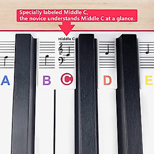 Premium Piano Keyboard Stickers - Colorful, Durable, and Easy-to-Use Learning Aid for Beginners (Colorful)