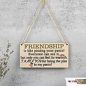 Funny Best Friend Birthday Gifts for Women Friendship Gifts for Women Friends Unique Personalized Plaques Gift for Girl Women Female Friends Wall Art Decor Wooden Sign Bff Gifts for Women Under 10 Dollars