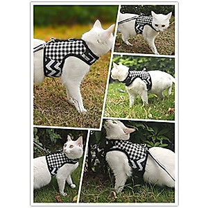 Yizhi Miaow Cat Harness and Leash for Walking Escape Proof, Adjustable Cat Walking Vest Harness, Stylish Cat Jacket Black Plaid, Large