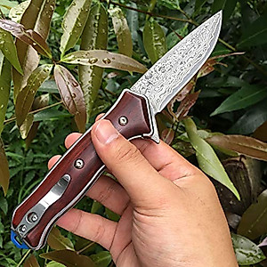 ALBATROSS HGDK001 EDC Classic Damascus Folding Camping Pocket Knives With Liner Lock,Cocobolo Wood Handle,Gifts/Collections