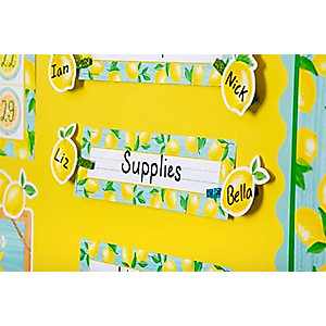 Teacher Created Resources Lemon Zest Mini Accents (TCR8481)