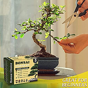 Meekear Indoor Starter Kit with Complete Planting Tools, Gardening DIY Gift for Plant Lovers