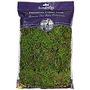 SuperMoss (25322) Forest Moss Preserved, Fresh Green, 8oz