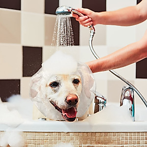 Weewooday 32 Pieces Disposable Pet Shower Caps Plastic Dog Ear Covers for Bathing Dogs Ear Drops Cap Guard Transparent Overhanging Ears Protection for Puppy Kitten Small Pets Bath Shower Rain Water