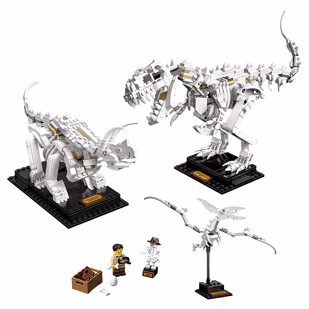LEGO Ideas 21320 Dinosaur Fossils Building Kit (910 Pieces)