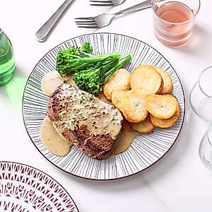 Y YHY 10“ Ceramic Plates, Porcelain Dinner Plates Set of 4 for Salad, Pasta, Appetizer, Dessert - 4 Pattern for Thanksgiving & Christmas, Dishwasher & Microwave Safe