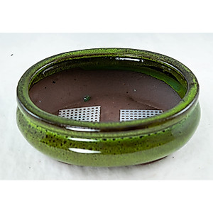 Calibonsai Oval Mame Shohin Bonsai / Cactus & Succulent Pot + Mesh 6inchx 5inchx 2inch - Moss Green Stain Glazed