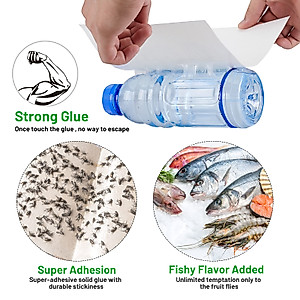 GreenV Fruit Fly Trap for Indoors 10Pack Fly Trap Indoor,Sticky Gnat Traps Fruit Fly Killer for Housefly,Mosquitoes, Spiders, Ants, Plants, White