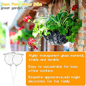 Haawooky Self Watering Globes,Clear Glass Plant Water Bulbs,Hand Blown Automatic Plant Waterer Device for Indoor Outdoor Plants,3 Pack