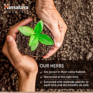 Himalaya UriCare Herbal Supplement, Kidney & Bladder Support, Urinary Tract & Urine Flow Support, Caffeine-Free, Non-GMO, Gluten Free, Vegetarian, 120 Capsules, 30 Day Supply