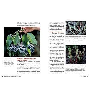 Edible Wild Plants: Wild Foods From Dirt To Plate (The Wild Food Adventure Series, Book 1)