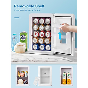 NORTHCLAN Mini Fridge for Bedroom, 15 Litre/21 Cans Portable Mini Refrigerator with AC/DC Power for Office, Dorm and Car, White