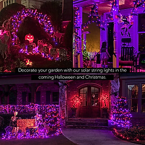Hopolon Solar Halloween String Lights Outdoor Waterproof,72ft 200LED Purple Red Solar String Lights with USB for Christmas, Halloween, Garden, Christmas Tree, Outdoors Patio Garden Party(Purple Red)