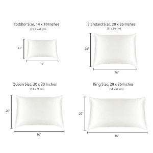 MYK 100% Natural Mulberry Silk Pillowcase, Luxurious 25 Momme for Hair and Skin Care, Oeko-TEX, Queen Size, Ivory, 1pc