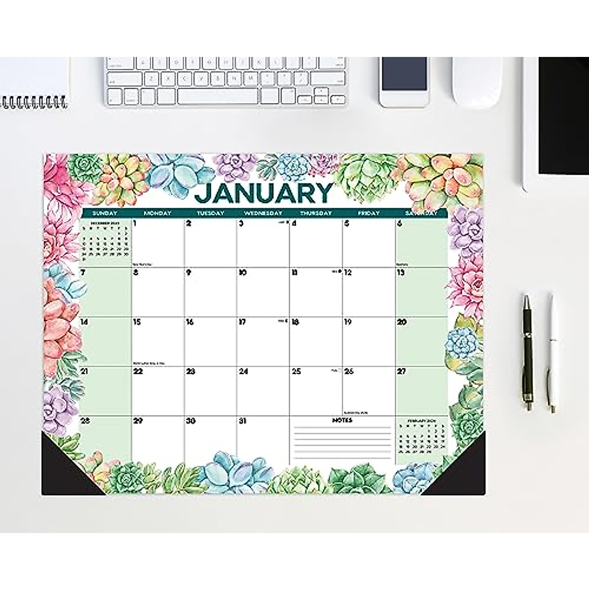 Willow Creek Press Succulent Monthly 2024 Deskpad Calendar (22" x 17")