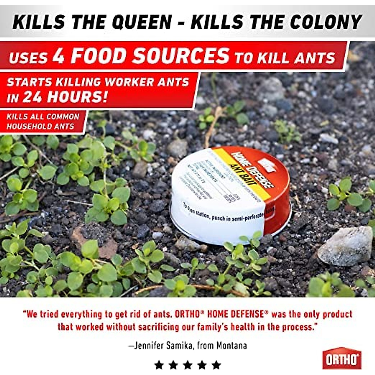 Ant Traps Indoor by ORTHO Home Defense 10pk- Metallic & Adhesive Ant Killer Indoor & Ant Killer Outdoor - Ant Trap & Ant Bait Traps Indoor Ant Killer - Ant Traps Outdoor,Ant Bait Outdoor