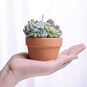 Assorted Succulent Pot Scented Candle for Spa Home Decoration Wedding Gift