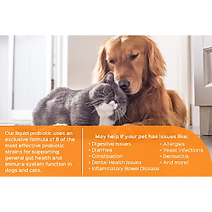 Humarian Probonix Cat Probiotic Drops - 8-Strain Probiotics for Cats to Support Gut Health, Dental Health and More - 45 Billion CFUs - 40-Day Supply - Liver Flavor