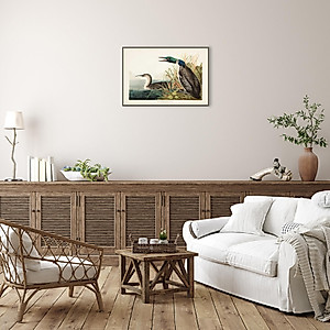 Amanti Art Framed Canvas Wall Art 23x33 Pl 306 Great Northern Diver or Loon by John James Audubon, Framed Wall Art Canvas, Animals Artwork, Country Rustic Decor, Large Poster Painting for Living