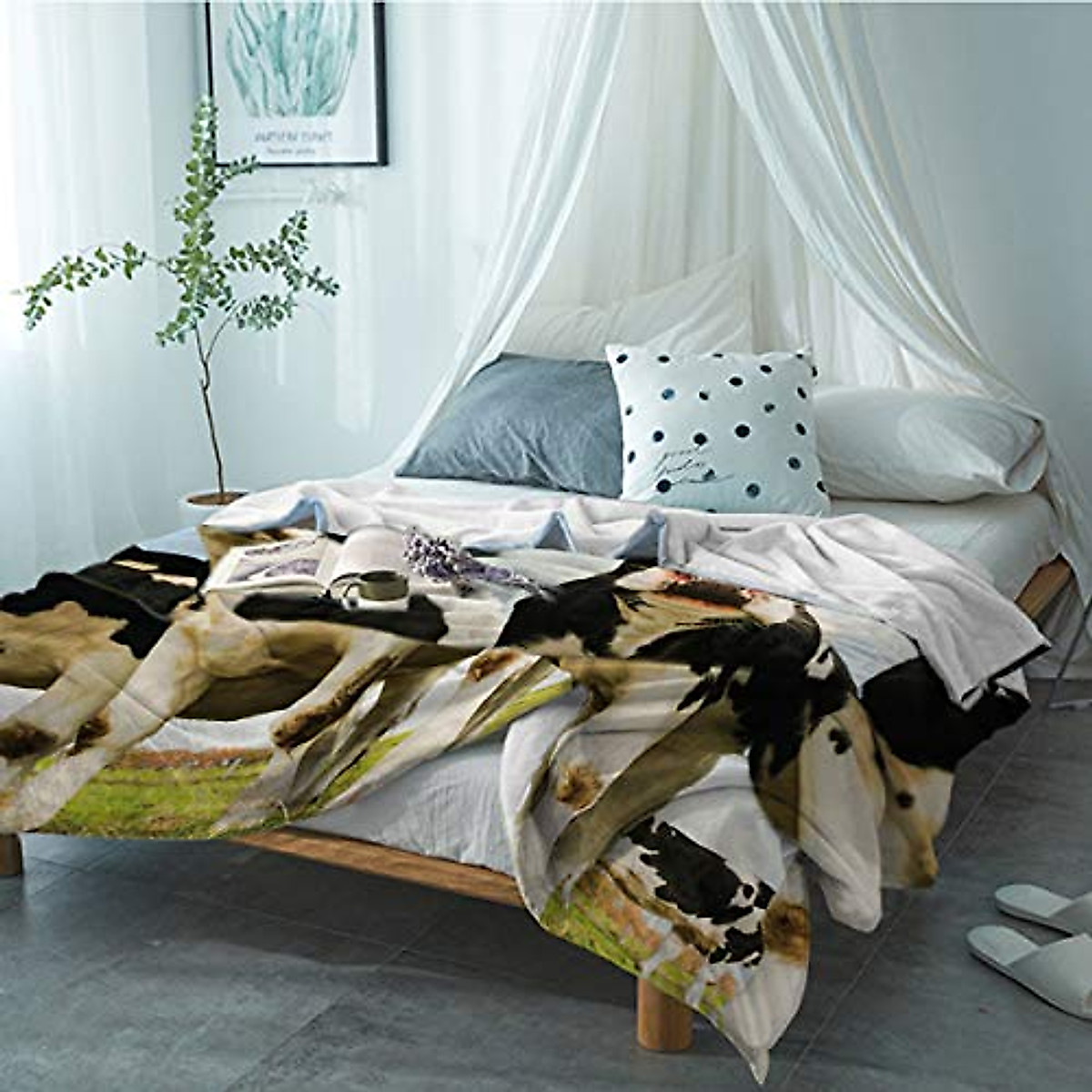 Singingin Ultra Soft Flannel Fleece Bed Blanket Farm Blue Sky Cow Throw Blanket All Season Warm Fuzzy Light Weight Cozy Plush Blankets for Living Room/Bedroom 40 x 50 inches