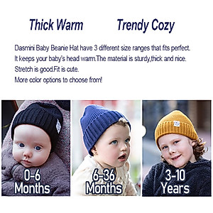 DASMINI Baby Beanie Toddler Winter Hat Infant Babies Newborn Kids Beanies Knit Hats Girl Boy (Lavender, 6-36mth)