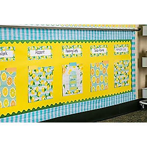 Teacher Created Resources Lemon Yellow Better Than Paper Bulletin Board Roll (TCR77043)