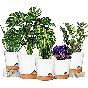 GARDIFE Plant Pots 7/6.5/6/5.5/5 Inch Self Watering Planters with Drainage Hole, Plastic Flower Pots, Nursery Planting Pot for All House Plants, African Violet, Flowers, and Cactus,White