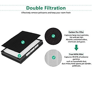 HENSITA Drolma Size A HEPA Replacement Filter, Compatible with Filtrete & Idylis Air Purifier Devices FAP-C01-A, AC-2119, IAPC-40-140, IAP-10-150, Compare to Part Model # IAF-H-100A, 2-Pack