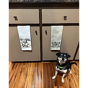 Twisted Anchor Trading Company Dog Kitchen Towels, Dog Gifts for Women - Set of of 5 - Comes in an Organza Gift Bag so It's Ready for Giving