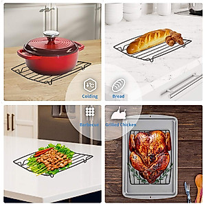 Roasting Rack for Roasting Pan,Baking Rack for Cooking, Roasting, Cooling and Grilling,V Shape Non-Stick Wire Rack,10×8" Black