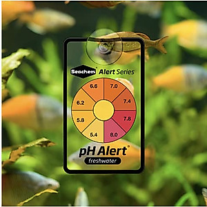 Seachem 28658 Alert Combo Pack white 6 x 3 x 4 inches