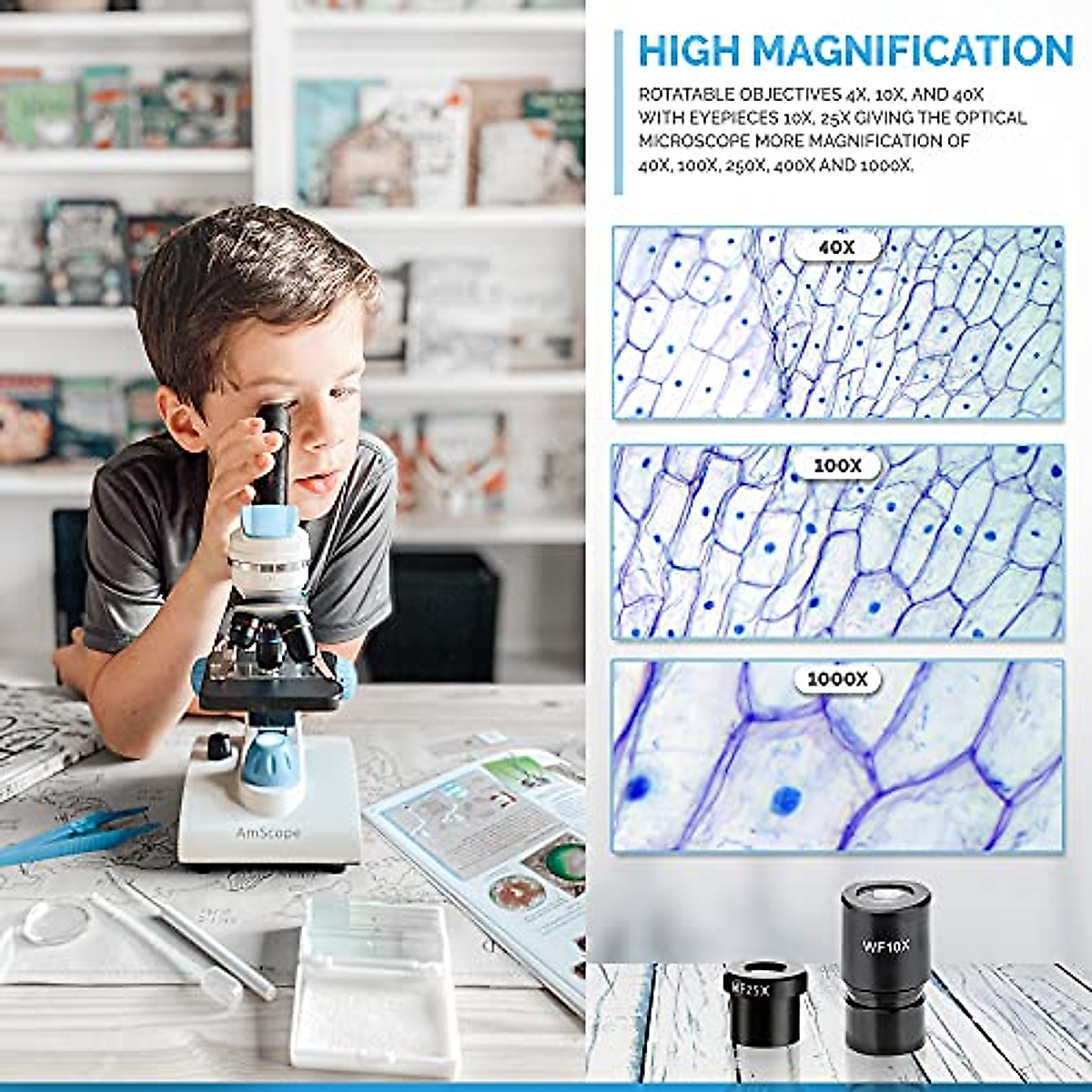 AmScope M162C-2L-WM-SP14-50P100S 40X-1000X Dual Light Glass Lens Metal Frame Student Microscope + Slides