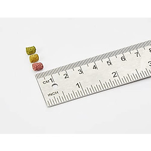 Tortoise Diet Fruit & Flower 680g