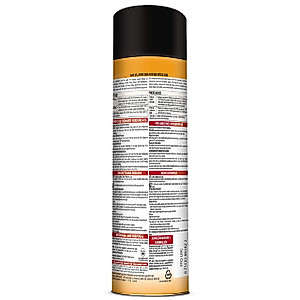 Spectracide Weed & Grass Foaming Edger (17 oz), 1 Count