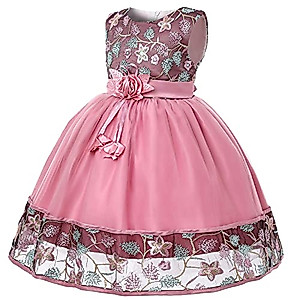 FOUTTUE Girls Party Dress Toddler Kids Girls Patterns Sleeveless Party Elegant Feast Baby Girls Princess (Hot Pink, 4-5 Years)