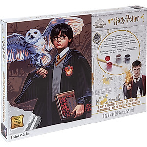 Dimensions PaintWorks Hedwig and Harry Potter Paint by Number Kit for Adults and Kids, Finished Project 11" x 14", Multicolor 15 Piece