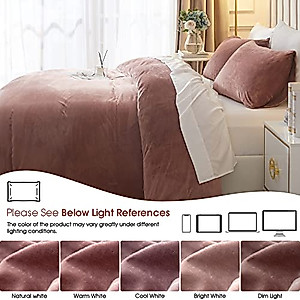 Grassix Velvet Queen Duvet Cover Set, Luxury Velour Duvet Cover 3 Pcs Duvet Cover Sets with 2 Pillowcases, Super Cozy Comforter Cover Sets Zipper Closure with 8 Corner Tie for All Seasons