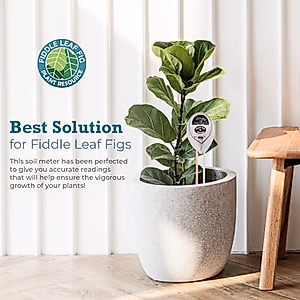 Houseplant Resource Center Fiddle Leaf Fig 3-in-1 Soil Moisture Meter for Plants – Best Indoor Plant Water Meter for Potted Houseplants - Light & Moisture Sensor Probe for Optimal Growth