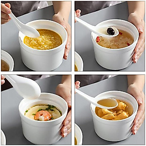 Luxshiny 2pcs Soup Cups with Lids White Ceramic Stew Pot with Lid Steam Soup Bowl Steaming Cup Soup Noodle Bowl Stockpot Cookware for Egg Custard Medicinal and Birds Nest 4 Inches