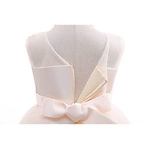 LENEFU Baby Girl Dress Kids Formal Flower Lace Embroidery,Sleeveless Princess Gown for Party Wedding Pageant(Champagne130)