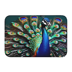 FRESQA Beautiful Peacock Print All-Season Indoor Outdoor Doormat,Multi-Functional and Stylish Home Decor