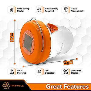 Trapable 3 Pack Carpenter Bee, Yellow Jacket and Wasp Traps for Outdoors – Hanging Design with Solar LED Light Catch Flying Insects from Patio, YardGarden Within Hours Flies, Hornets and Wasp Killer